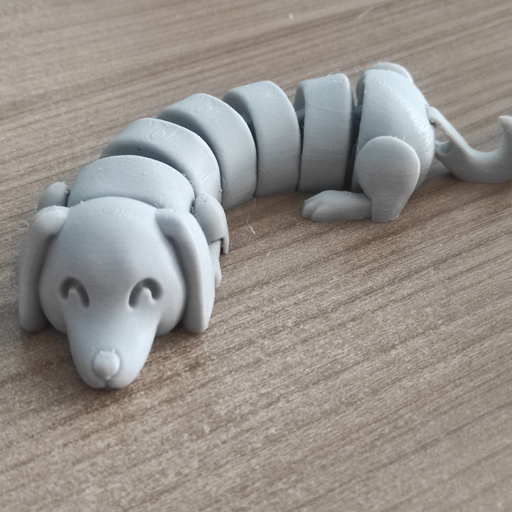3D Print of Lazy Dogs by mapbuh