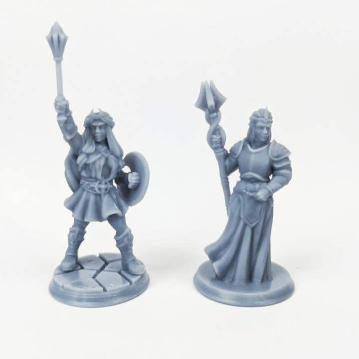 3D Printable Clerics (set) by Vae Victis Miniatures