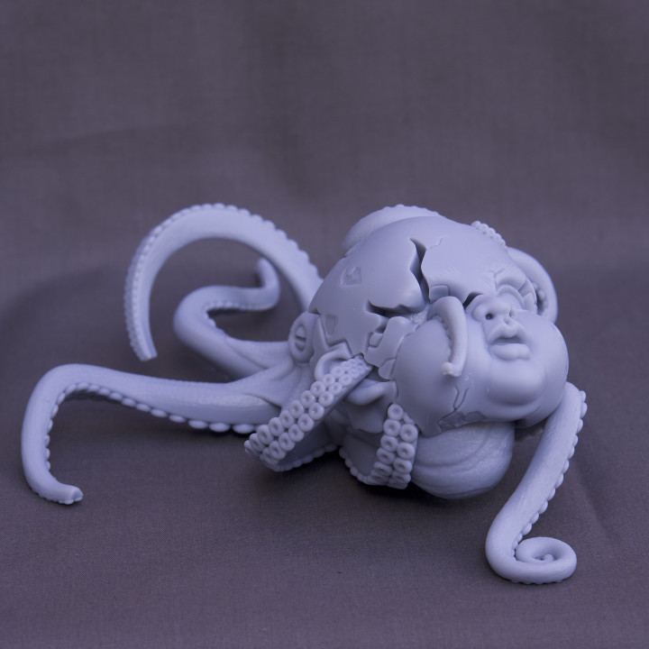 3D Printable Octo Doll Print by Grinning God