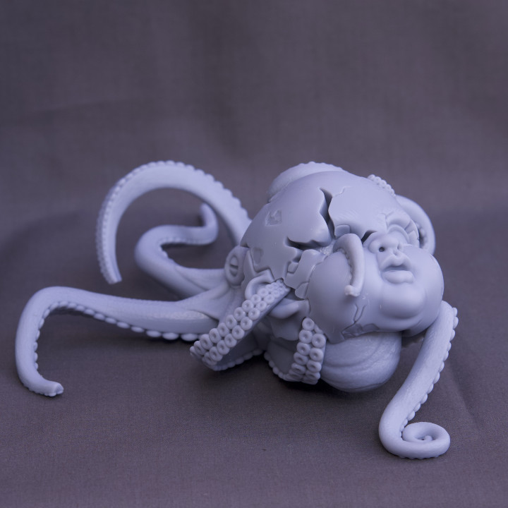 3D Printable Octo Doll Print by Grinning God
