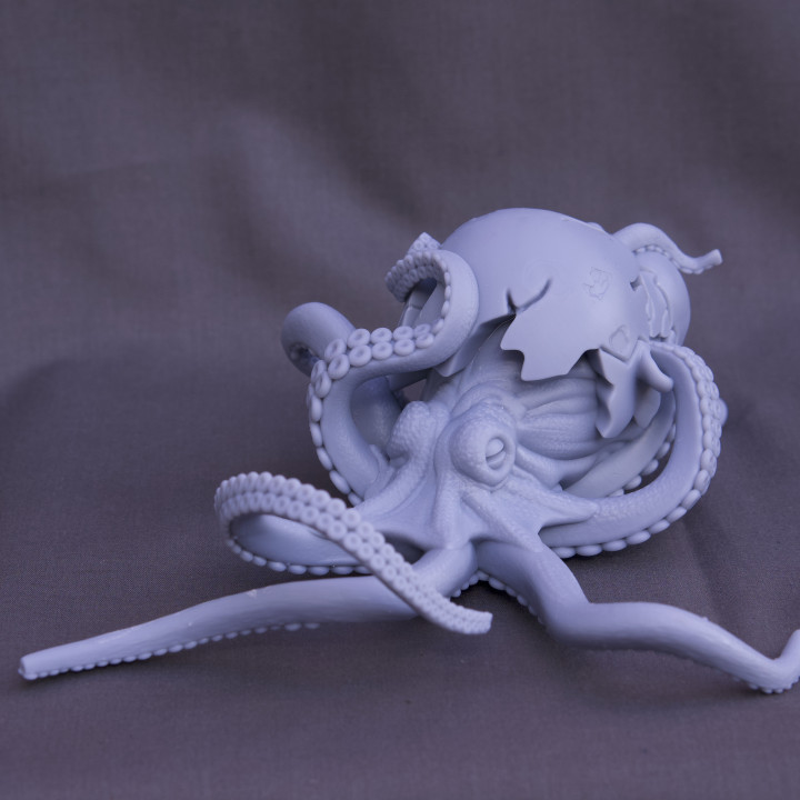 3D Printable Octo Doll Print by Grinning God