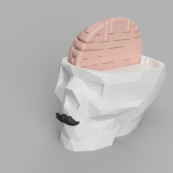 3D Printable Fancy Dr. Brain Breaker by Thomas Buseyne