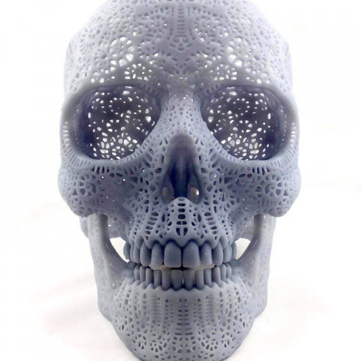 3D Printable Filigree Anatomical Skull - Pre-supported STL by Matthew