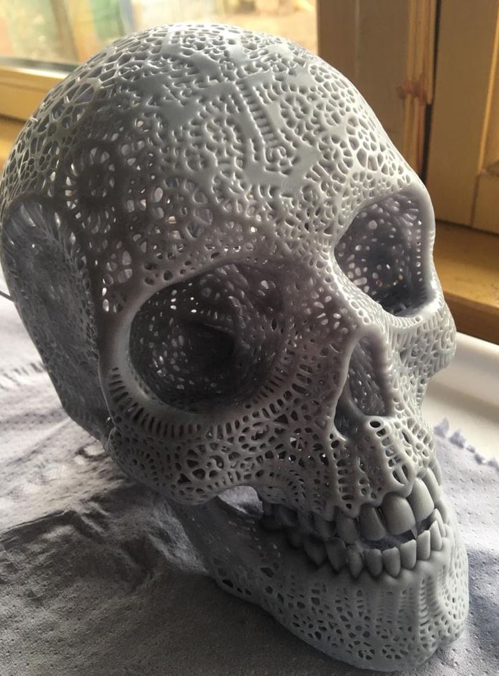 3D Printable Filigree Anatomical Skull - Pre-supported STL by Matthew