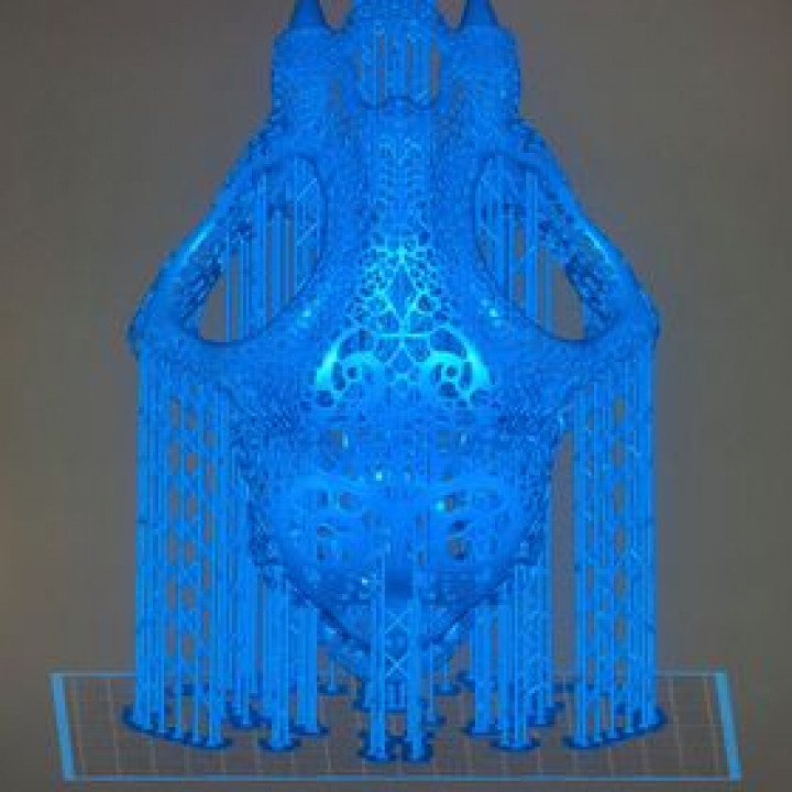 3D Printable Filigree Anatomical Bobcat Skull - Pre-supported STL by ...