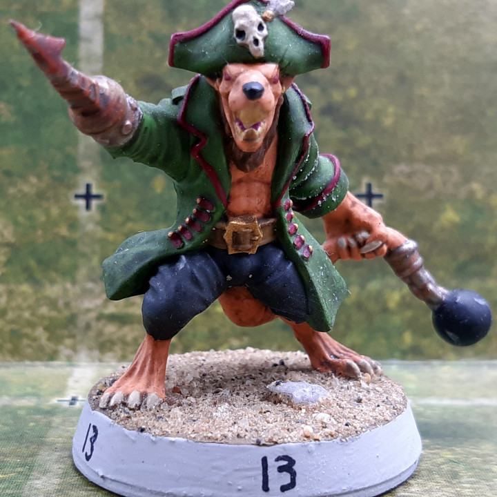 3D Print of Pi'Rat Lineman 2 by Vergond