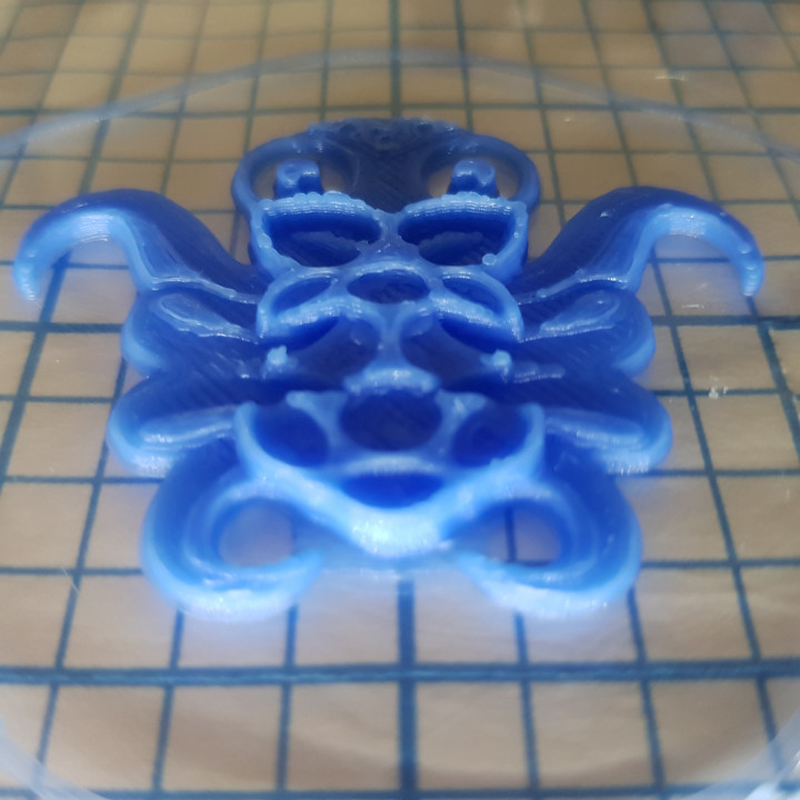 3D Printable Octoprint Raspberry Pi Logo by Billy Tail