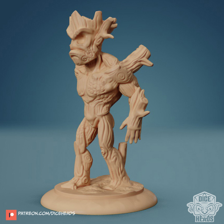 Heroes Of Zoontalis Campaign - MyMiniFactory