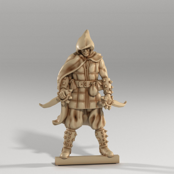 3D Printable Adventurer - Hooded Rogue with Twin Daggers – Fantasy ...