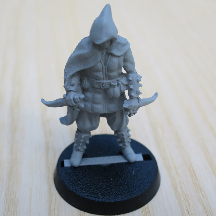 3D Printable Adventurer - Hooded Rogue with Twin Daggers – Fantasy ...