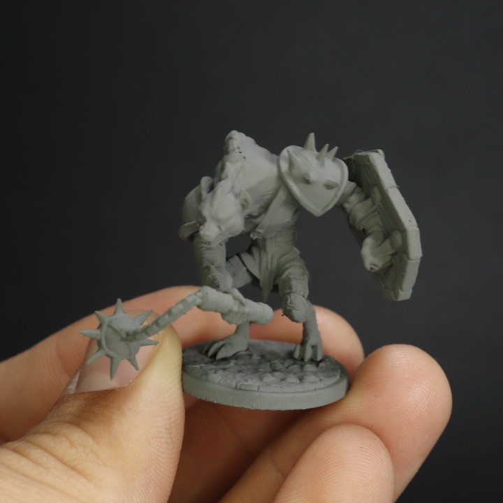 3D Printable 'Gnoll' November 2020 release 5 STL's miniatures pre ...