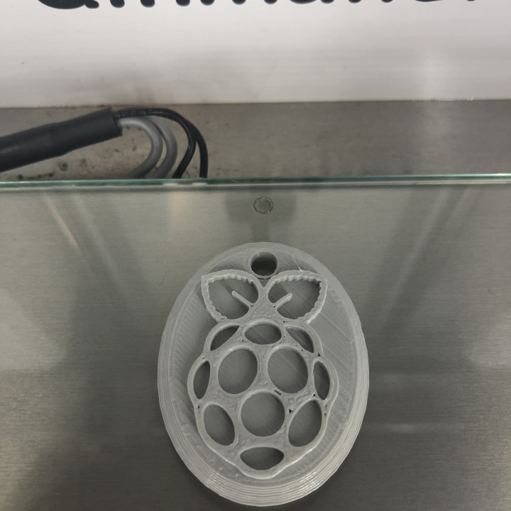 3D Printable Keychain: 'Raspberry Pi' by Idea Lab