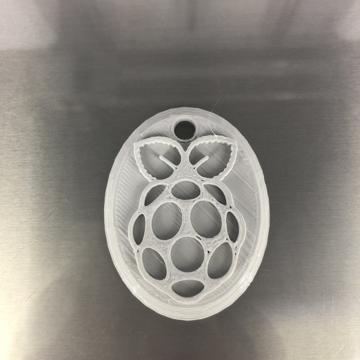 3D Printable Keychain: 'Raspberry Pi' by Idea Lab