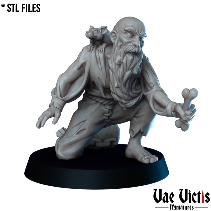 3D Printable Prison (Set) by Vae Victis Miniatures