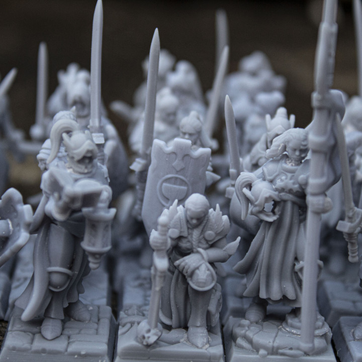 3D Printable Warriors of the Lady Command Group - Highlands Miniatures ...