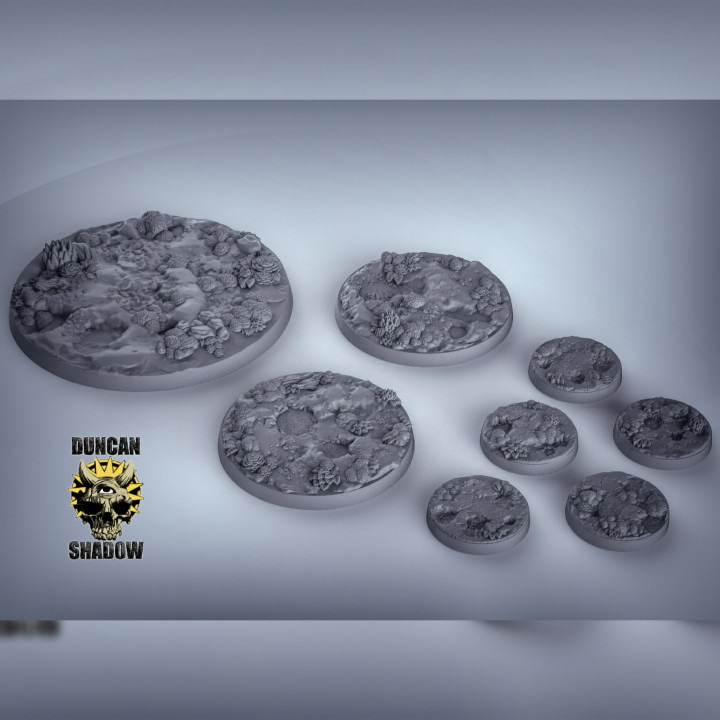 3D Printable Blasted Waist Land Bases with Plants by Duncan Shadow