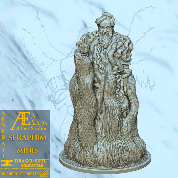 3D Printable AESERA11 - Seraphim: Minis by Aether Studios