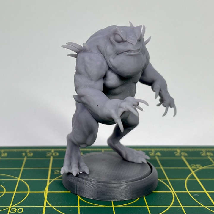3D Print of Slaad (Red) - Tabletop Miniature by Virr