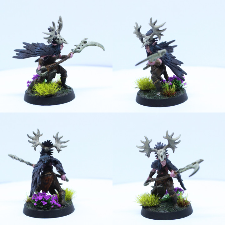 3D Print of Elf Na'Leera Naturalist - Swamps - Titan Forge Miniatures ...