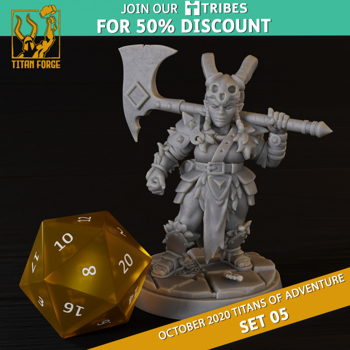 3D Printable RPG - DnD Hero Characters - Titans of Adventure Set 5 by ...