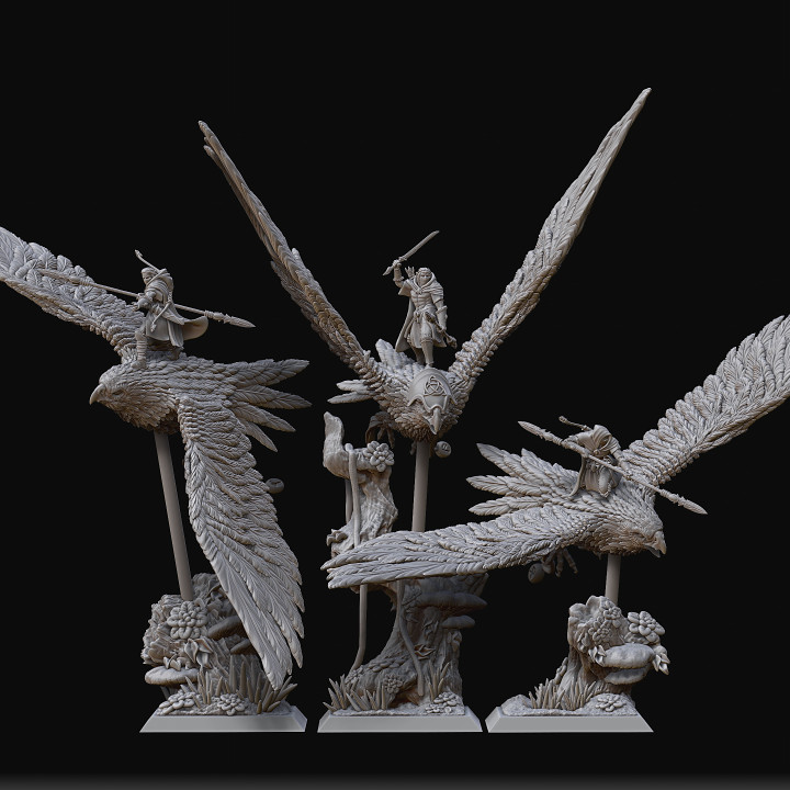 3D Printable HAWK RIDERS WITH BOW AND WITH SPEAR by Raven Twin Miniatures
