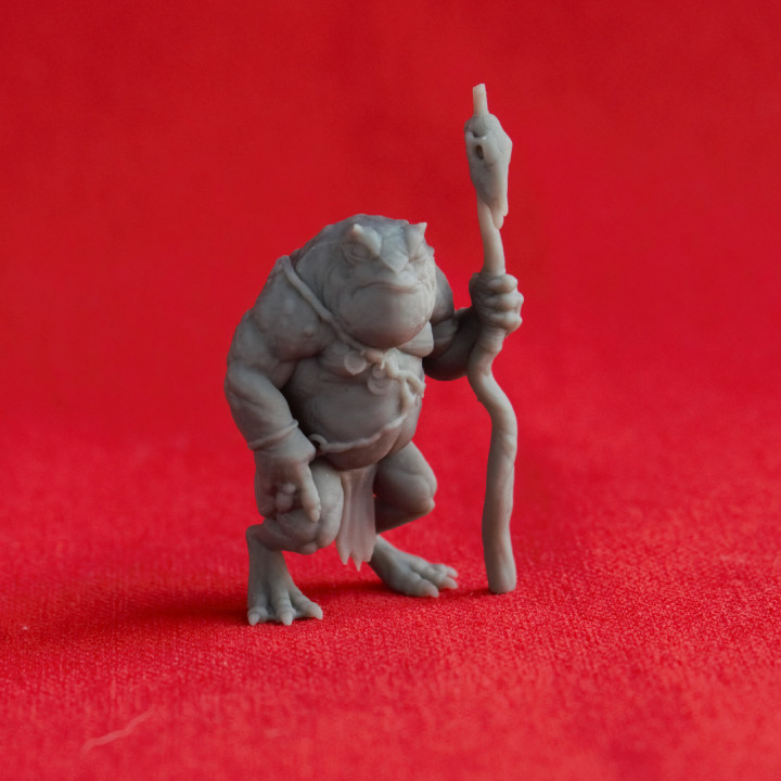 3D Printable Slaad Mob - Tabletop Miniatures (Pre-Supported) by ...