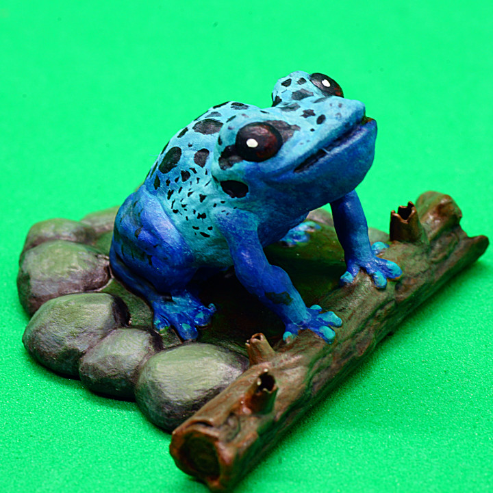3D Printable Poison Frog by Stratation Design