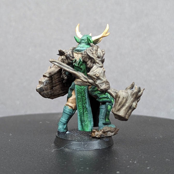 3D Print of Oath of Preservation Paladin with Sword/Hammer and Shield ...