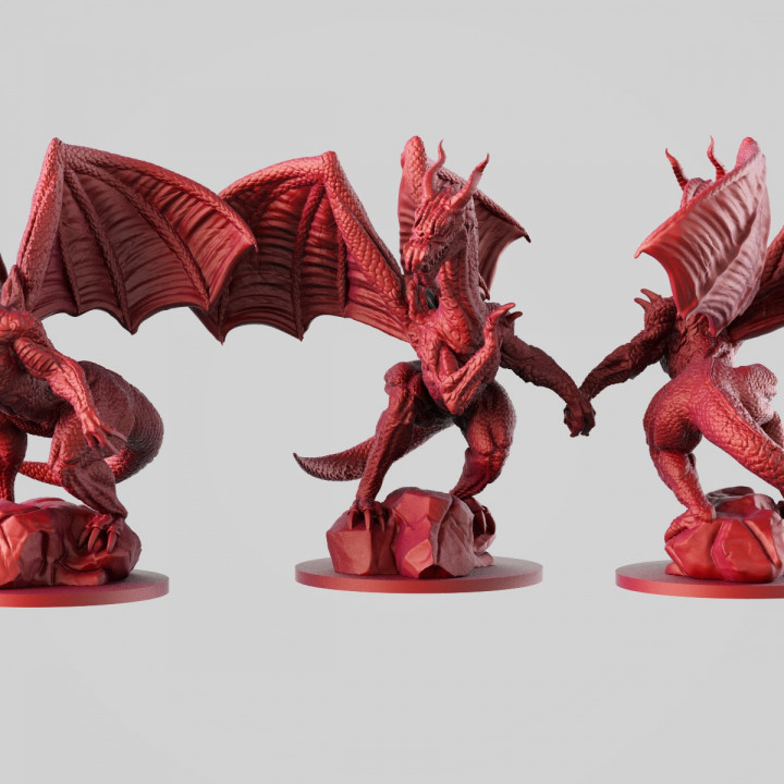 3D Printable Miniatures for 3D players by Crosslances