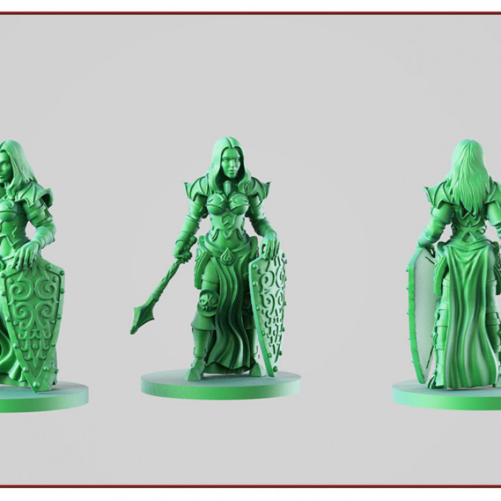 3D Printable Miniatures for 3D players by Crosslances