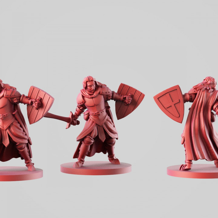 3D Printable Miniatures for 3D players by Crosslances