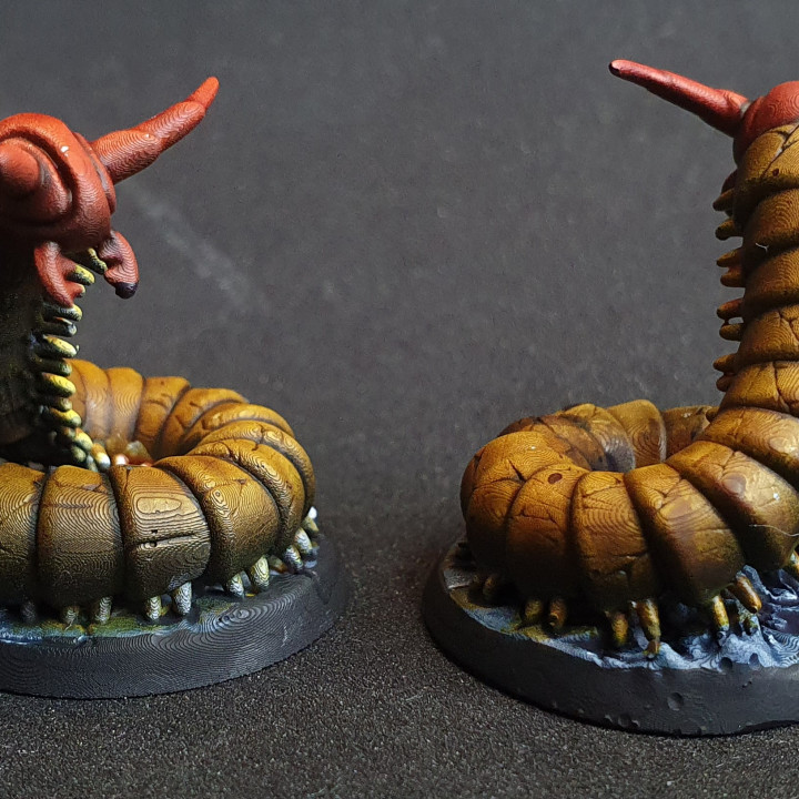 3D Print of Giant Centipede (Pre-supported included) by smuey