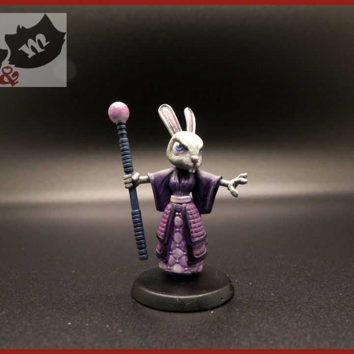 3D Print of Rabbitfolk Wizard (Pre-supported included) by salmoltisanti