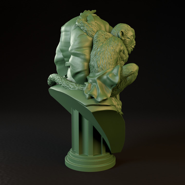 3D Printable Blinsky Curse of Strahd [Professionally Pre-Supported] by ...