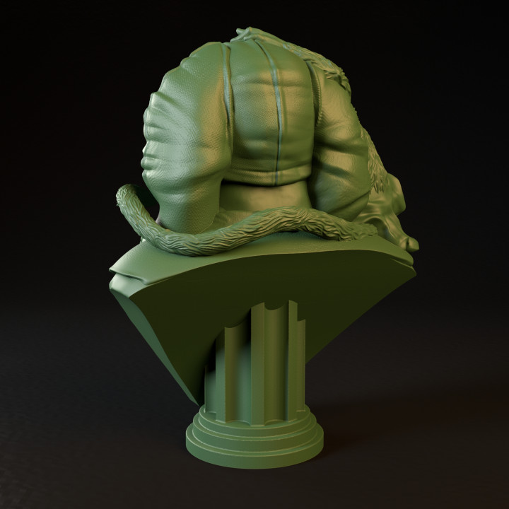 3D Printable Blinsky Curse of Strahd [Professionally Pre-Supported] by ...