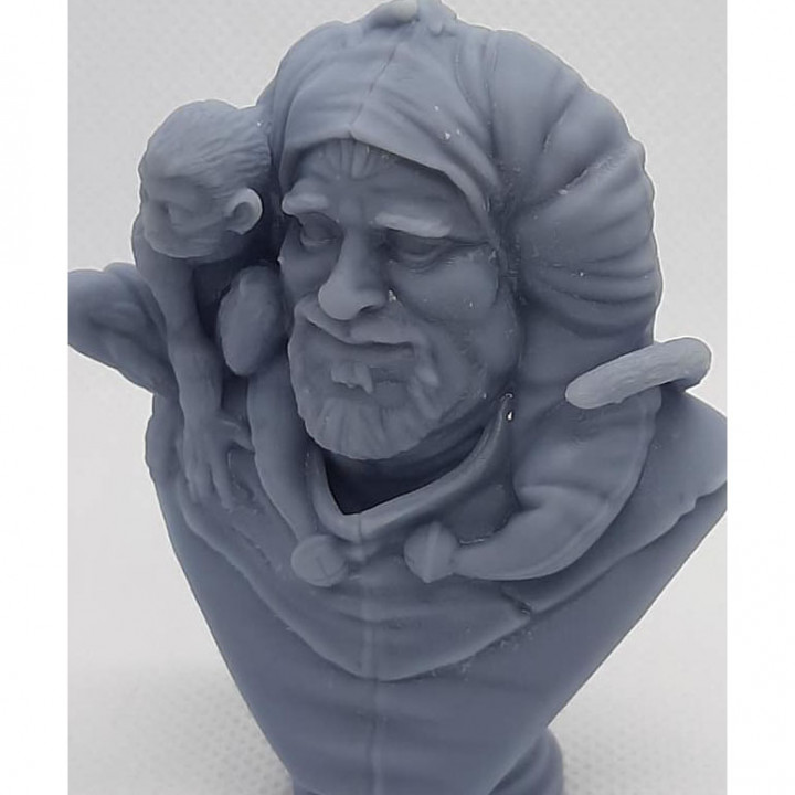 3D Printable Blinsky Curse of Strahd [Professionally Pre-Supported] by ...
