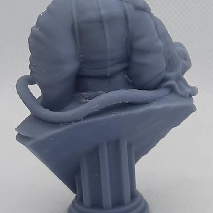 3D Printable Blinsky Curse of Strahd [Professionally Pre-Supported] by ...