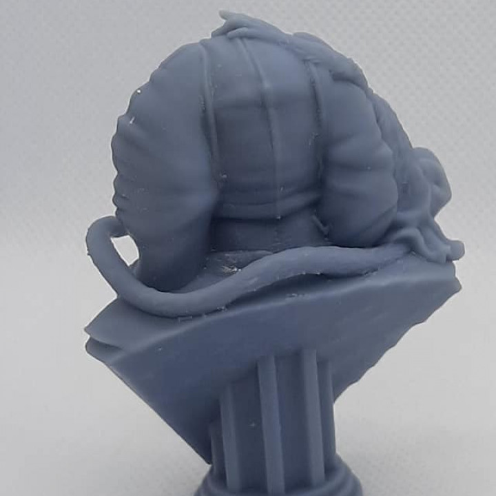 3D Printable Blinsky Curse of Strahd [Professionally Pre-Supported] by ...