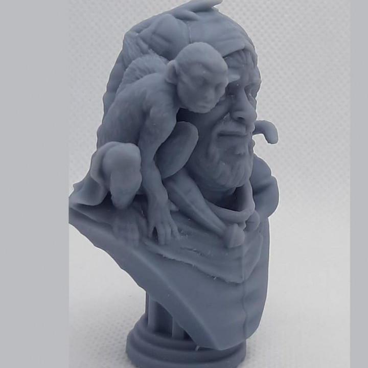 3D Printable Blinsky Curse of Strahd [Professionally Pre-Supported] by ...