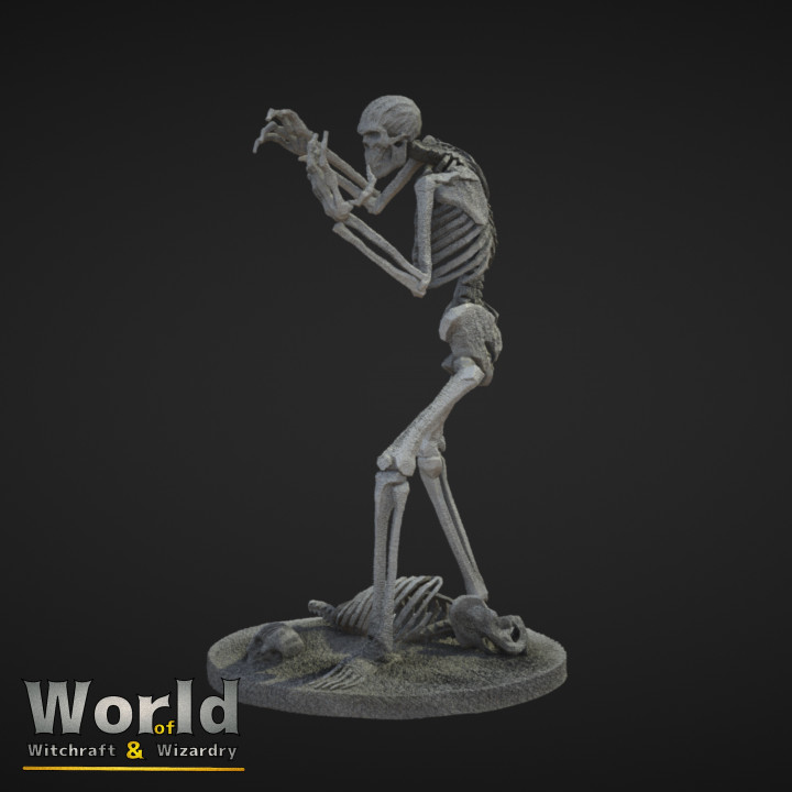 3D Printable Skeleton - World of Witchcraft & Wizardry by Lazy Bear