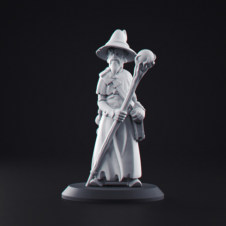 3D Printable Wizard by marproz_3D
