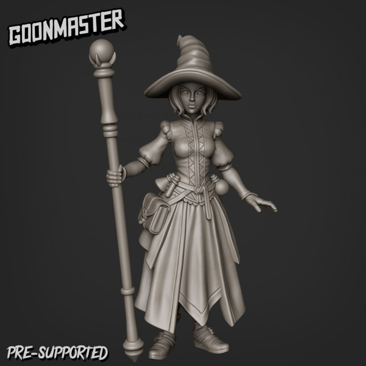 3D Printable Human Wizard 3 by Goon Master