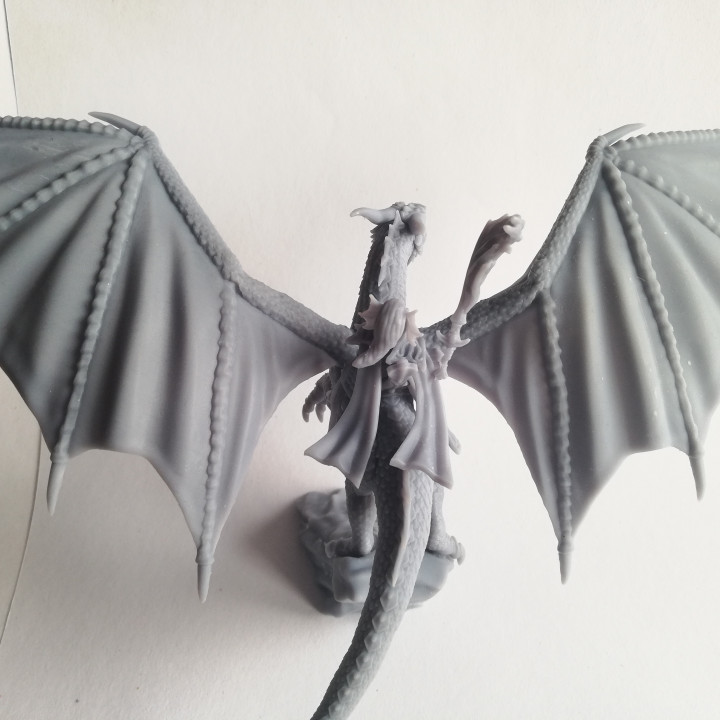 3D Printable The Elven Dragon King Miniature (28mm) by Juhász Gergely