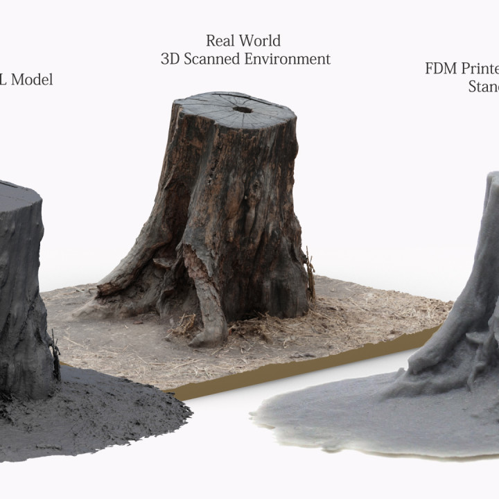 3D Printable 3D Scanned Tree Stump for Tabletop Scatter Terrain by Yan