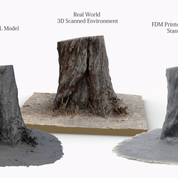 3D Printable 3D Scanned Tree Stump for Tabletop Scatter Terrain by Yan