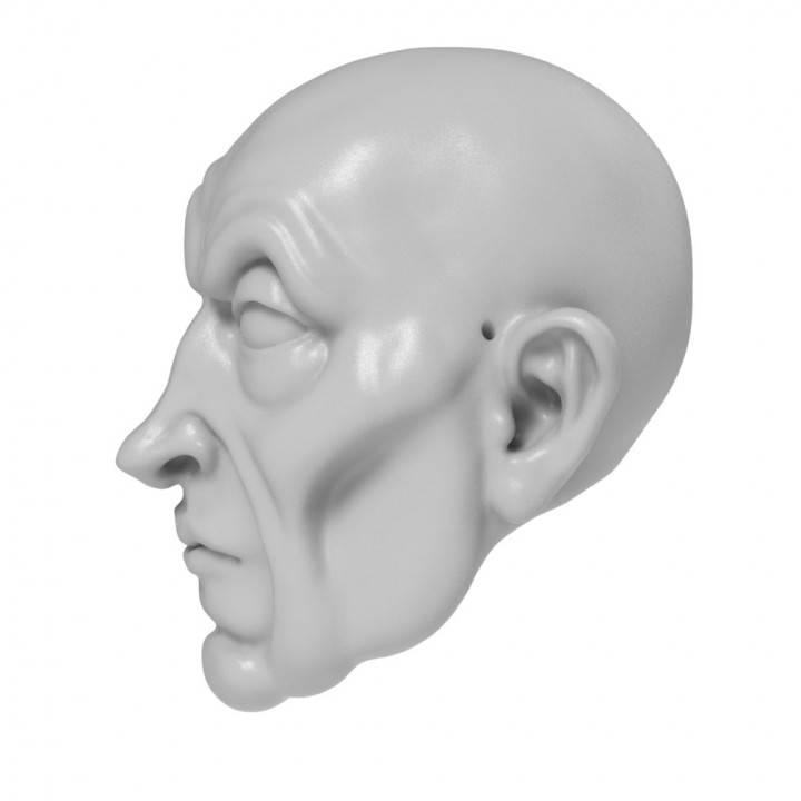 3D Printable Claude Frollo from The Hunchback of Notre Dame Head by ...