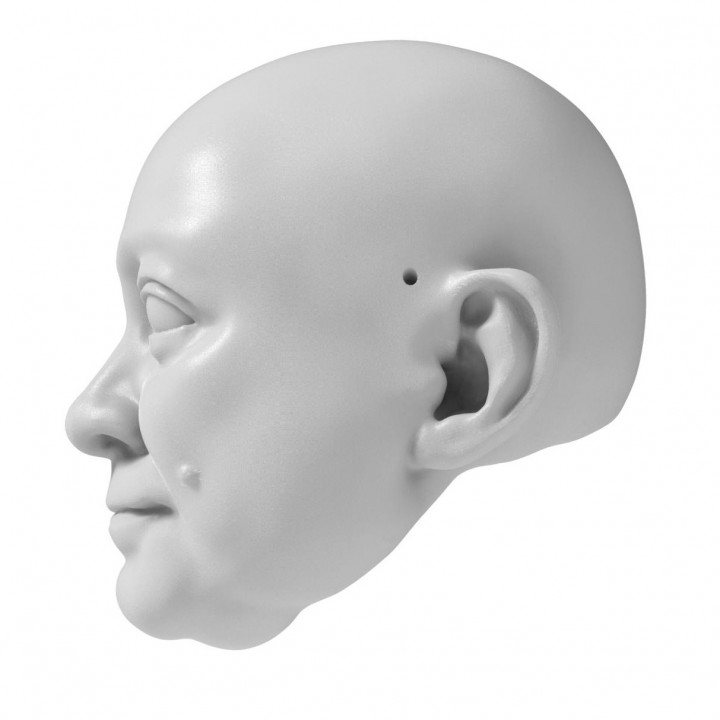 3D Printable Round Shaped head for marionette puppet by Petr Puppeteer