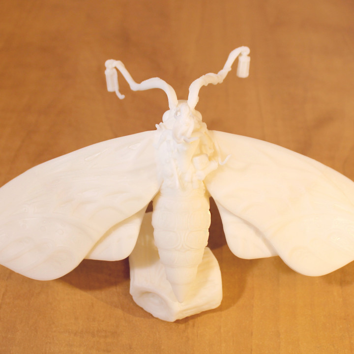 3D Printable Moth Rider - Miniature by Grinning God