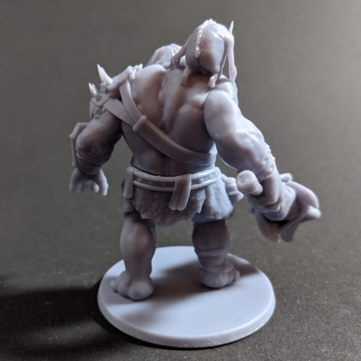 3D Printable Ogre - Tabletop Miniature - DnD by Fynn Große-Bley