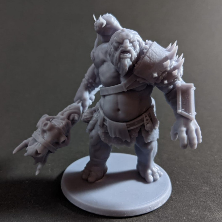 3D Printable Ogre - Tabletop Miniature - DnD by Fynn Große-Bley